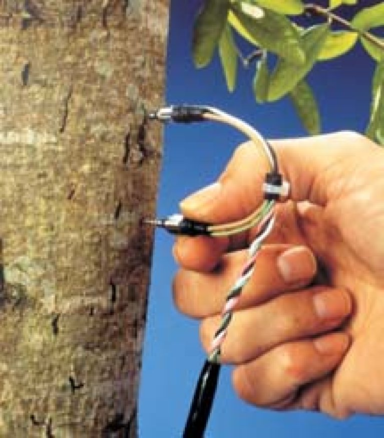 Transpiration Sap Flow – Thermal Dissipation Probe – Labquipasia